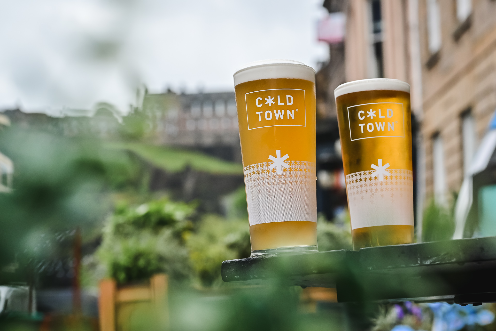 Cold Town Beer! - The Smokin' Fox